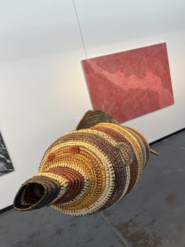 Collection Focus : Indigenous Art