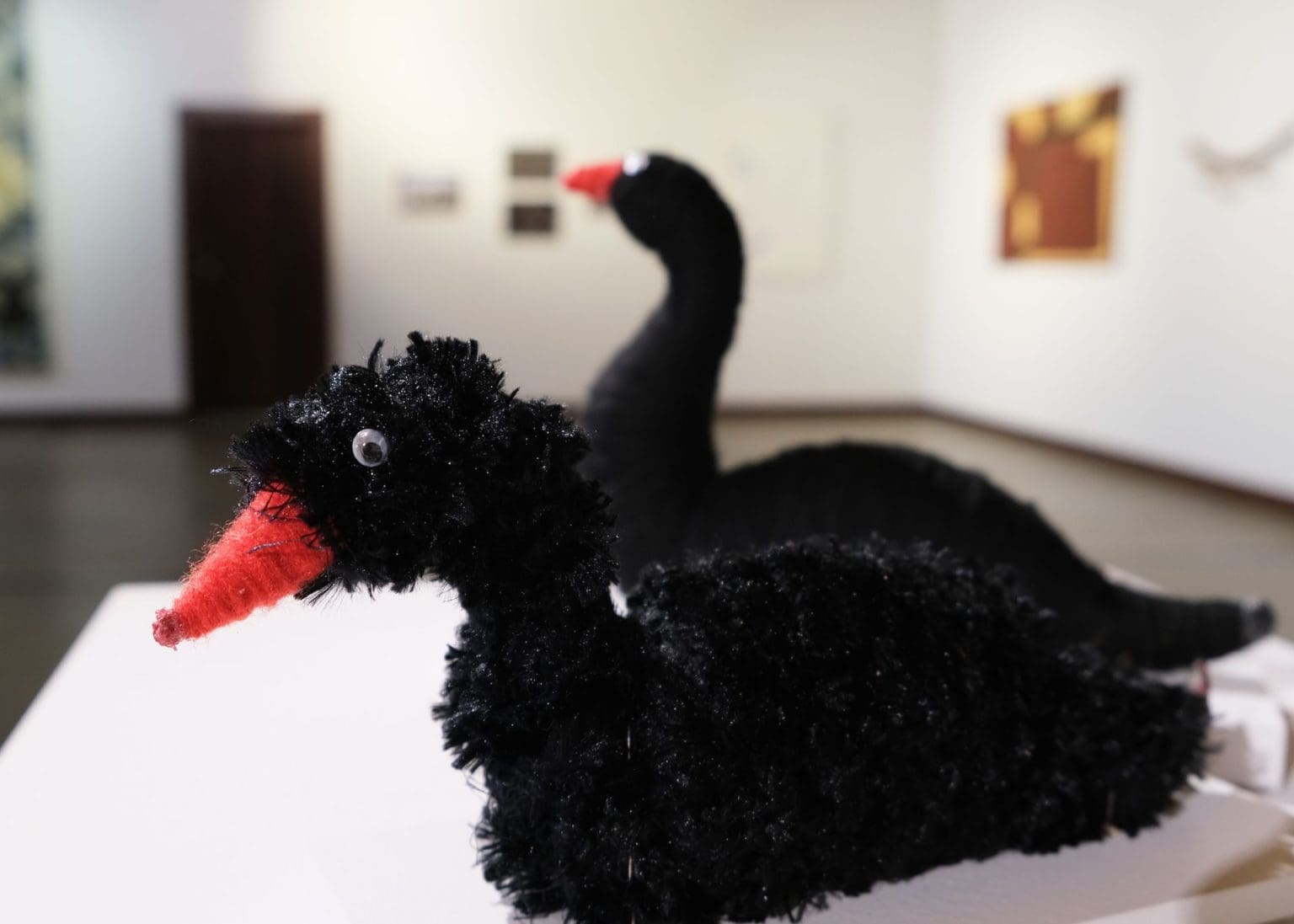 Tracing The Swan
