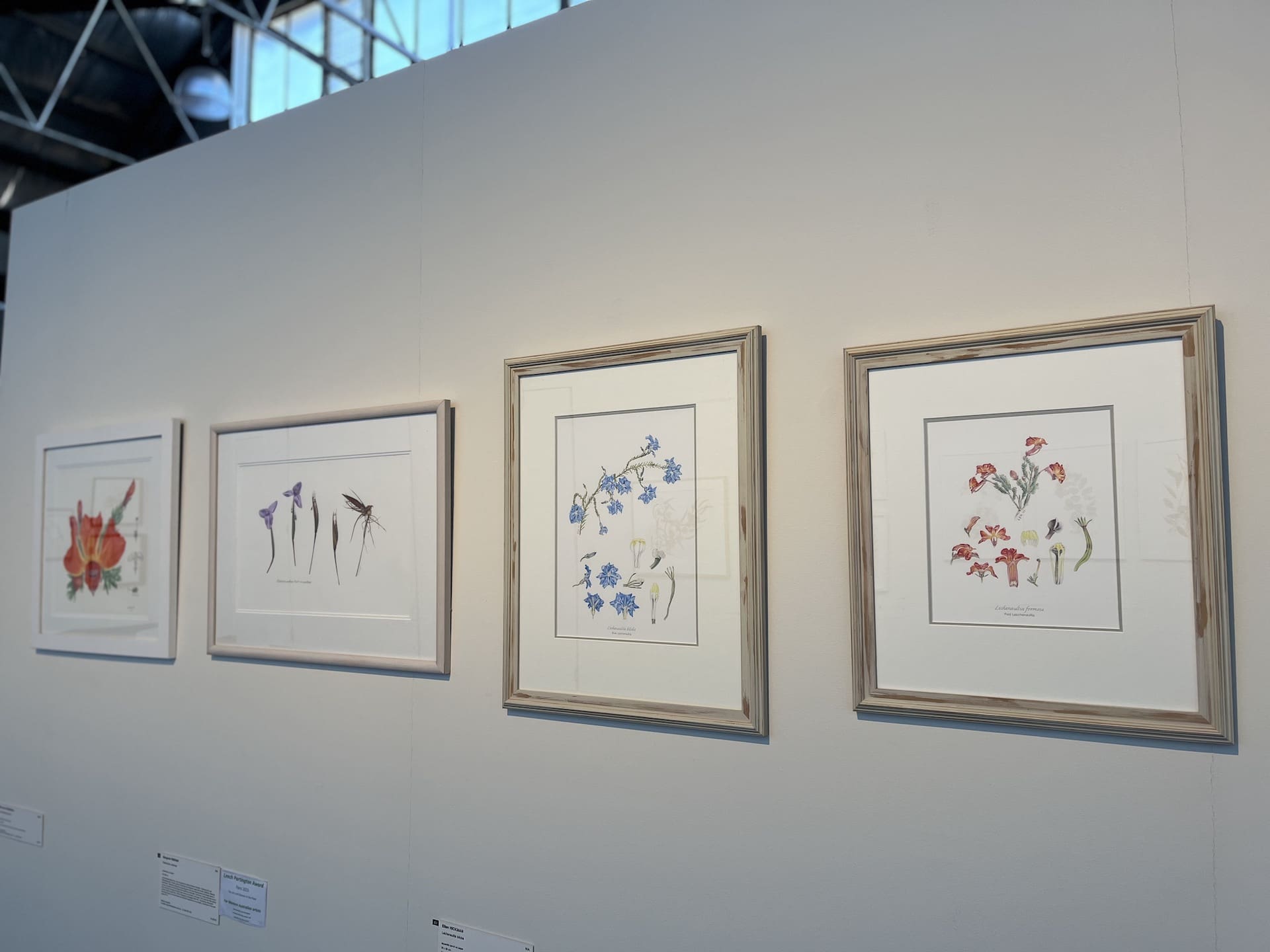 Flora : The Art And Science Of The Plant